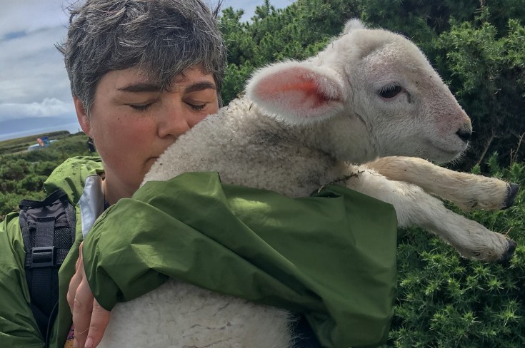 The Mystery Of Alpha Gal